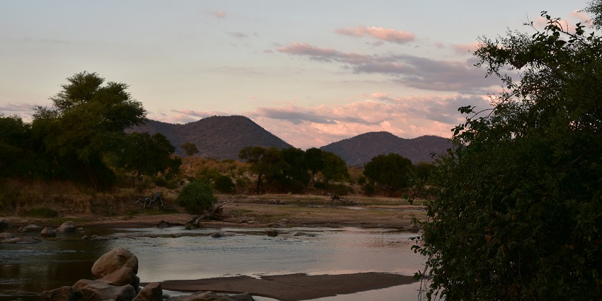 Ruaha National Park Tanzania: Wildlife & Scenic Beauty - TripXL