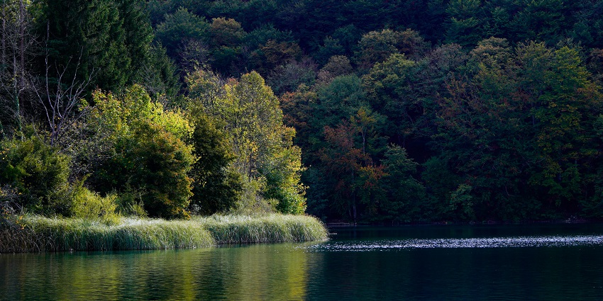 Harrison Hot Springs: Experience Scenic Natural Hot Springs - TripXL