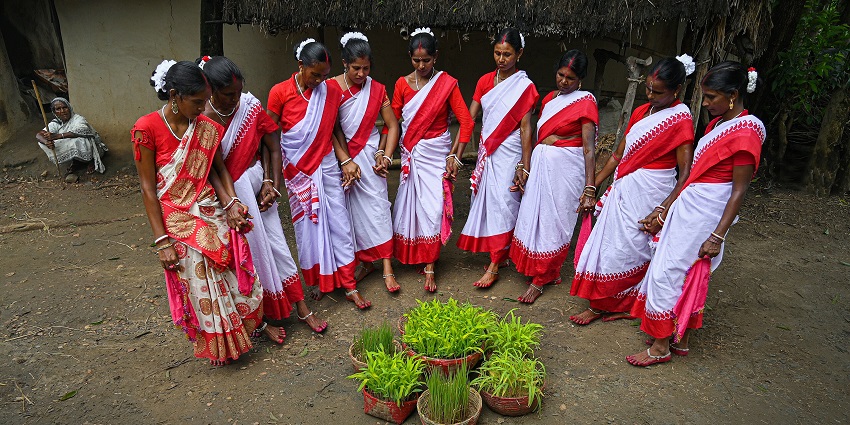 Harvest Festivals Of Jharkhand: Exploring Tribal Traditions - TripXL