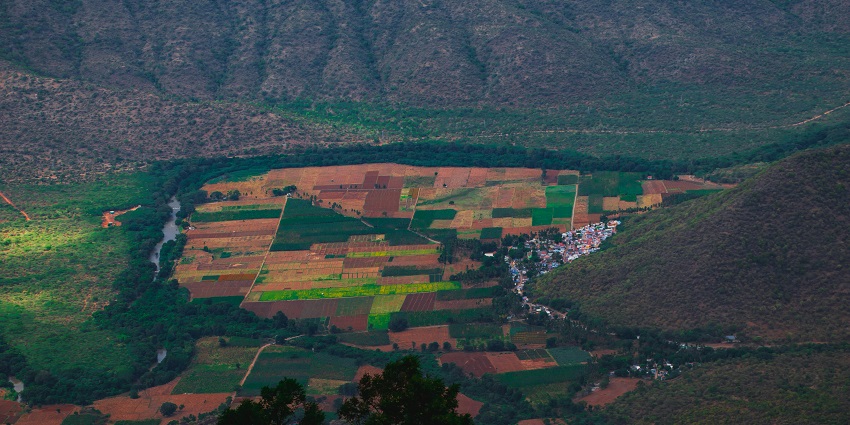 10 Places To Visit In Kotagiri To Witness Nature’s Charm - TripXL