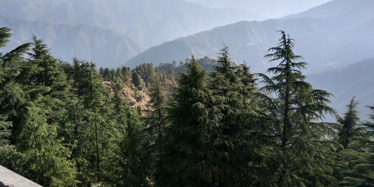10 Places To Visit In Landour And Around For An Amazing Trip - TripXL