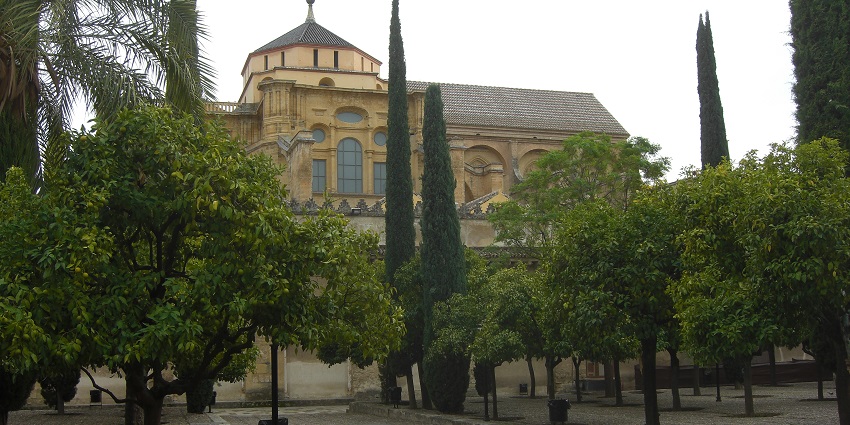 Mosques In Switzerland: A Guide To Islamic Centers - TripXL