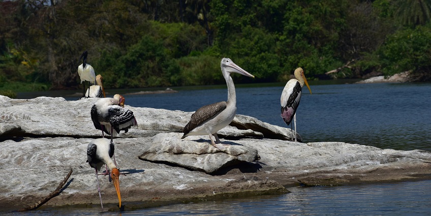 Explore The Best 13 Places To Visit Near Lucknow Within 100 Km - TripXL