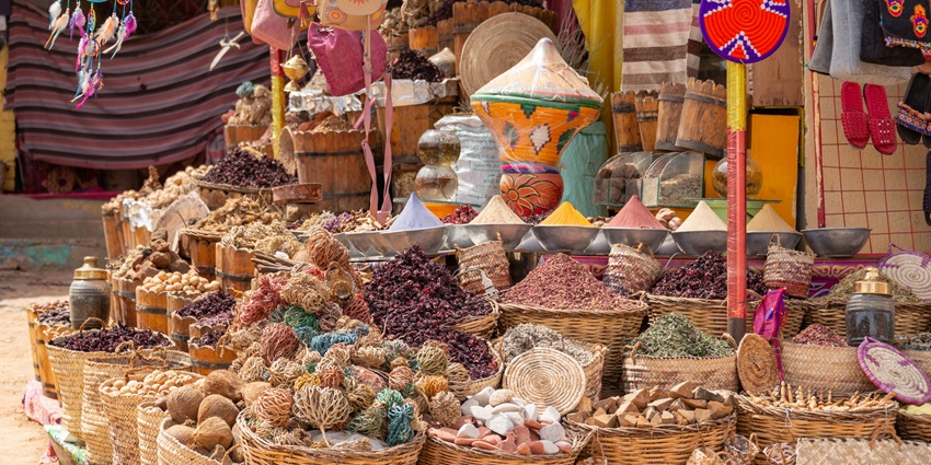 Places To Visit In Noida With Family: Ultimate Travel Guide - TripXL