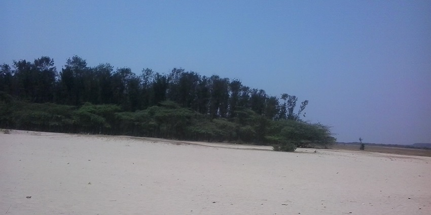 Digha Travel Guide: Explore The Beaches and Natural Wonders - TripXL
