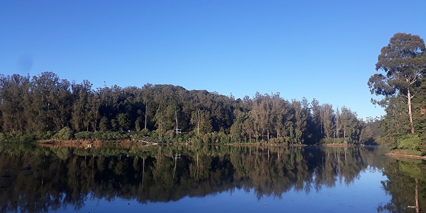 Ooty Travel Guide: Explore The Hills With The Hushed Air - TripXL