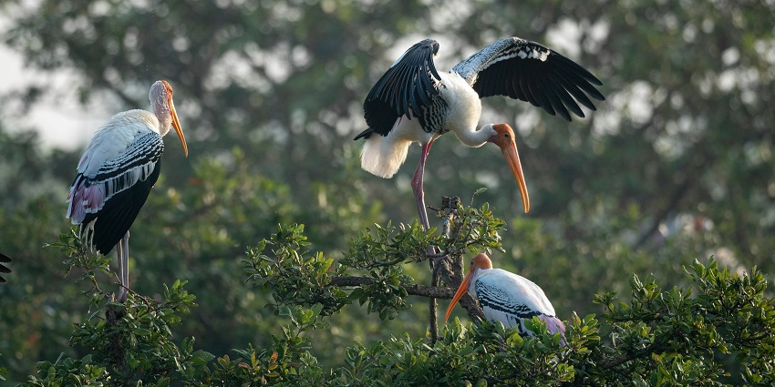 Explore The Best Places To Visit Near Agra Within 100 Kms - TripXL