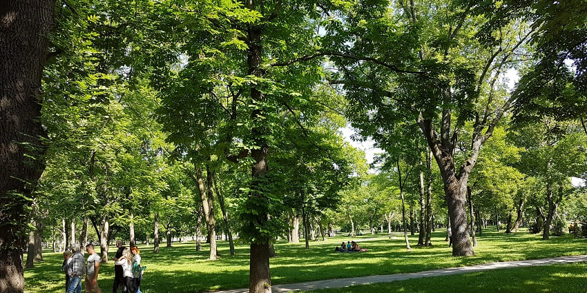 12 Places To Visit In Vienna In May: A Perfect Spring Getaway - TripXL