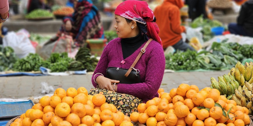 Shopping In Mauritius: Markets, Malls, And Local Souvenirs - TripXL