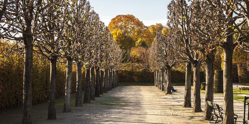 12 Places To Visit In Vienna In May: A Perfect Spring Getaway - TripXL