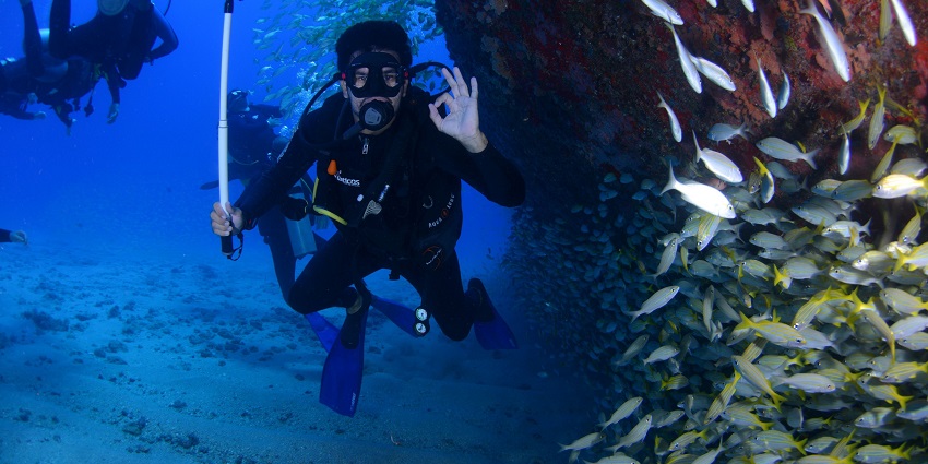 Scuba Diving In Oman: Best 10 Spots To Try For Adrenaline - TripXL