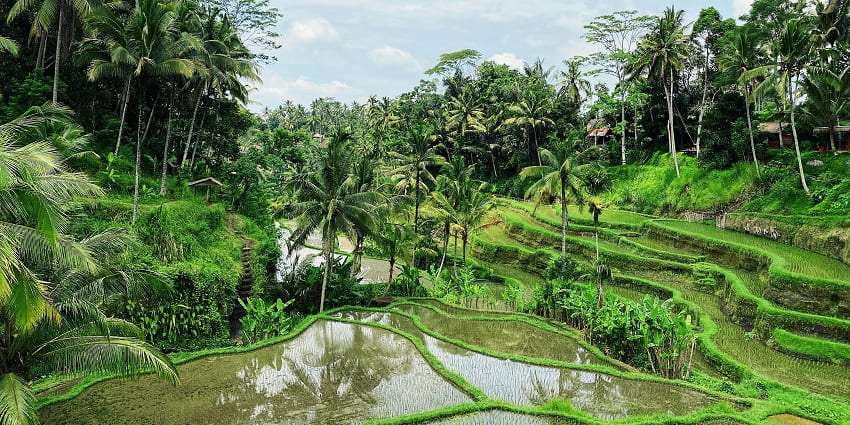 Bali Travel Guide: Top Attractions, Beaches & Travel Tips - TripXL