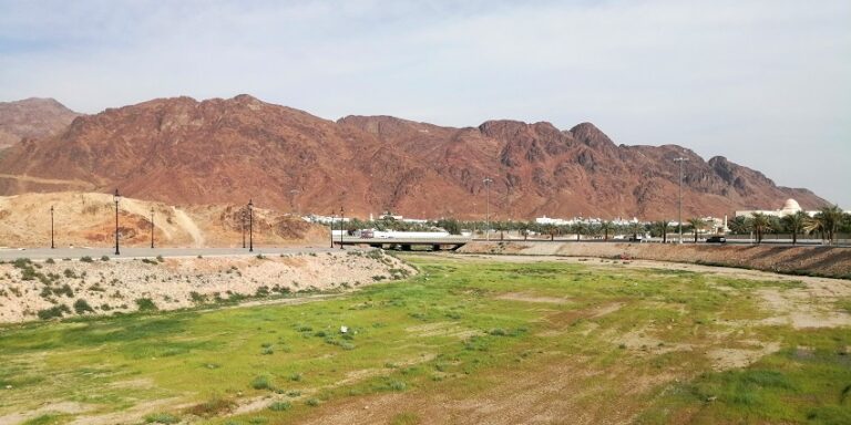 Quba Mosque: The First Mosque In Islam & Its Spiritual Significance ...