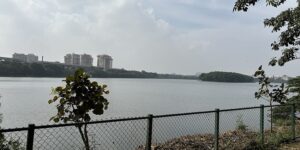 10 Famous Lakes In Bangalore With Pristine Beauty: An Escape - TripXL