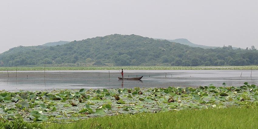 Fresh Water Lakes In Odisha: Discover Stunning Natural Beauty - TripXL