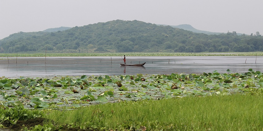 Famous Lake In Odisha: Explore Odisha’s Stunning Waterbody - TripXL