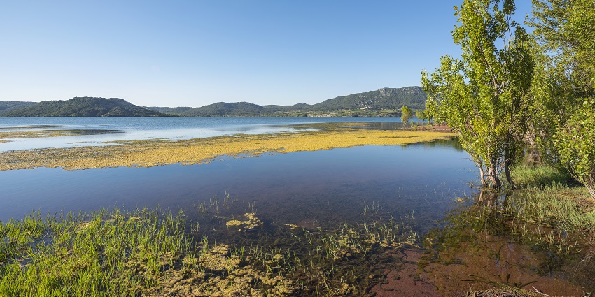 Lakes in Bihar: A Guide To The State’s Serene Water Bodies - TripXL