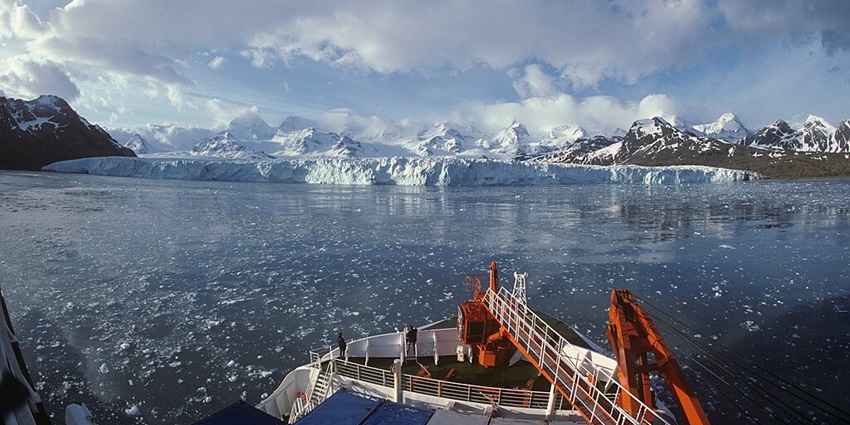 South Georgia Island Guide: Everything You Need To Know - TripXL