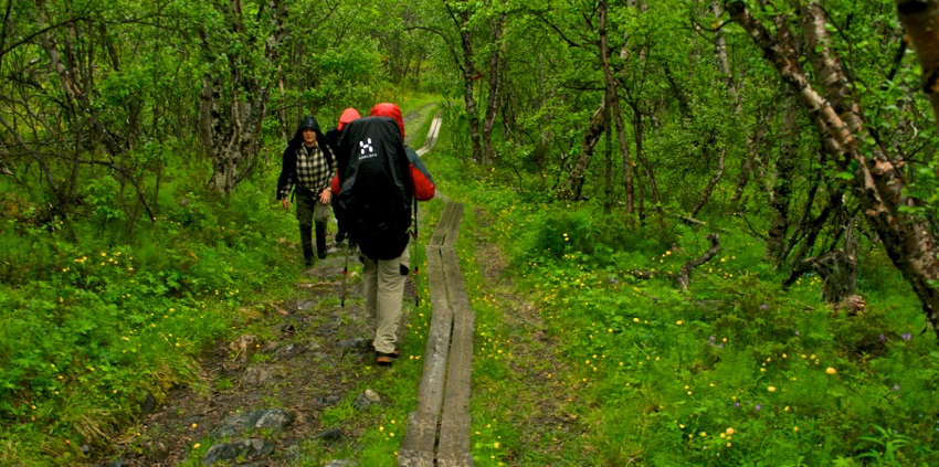 Explore Abisko National Park: A Nordic Paradise Of Nature - TripXL