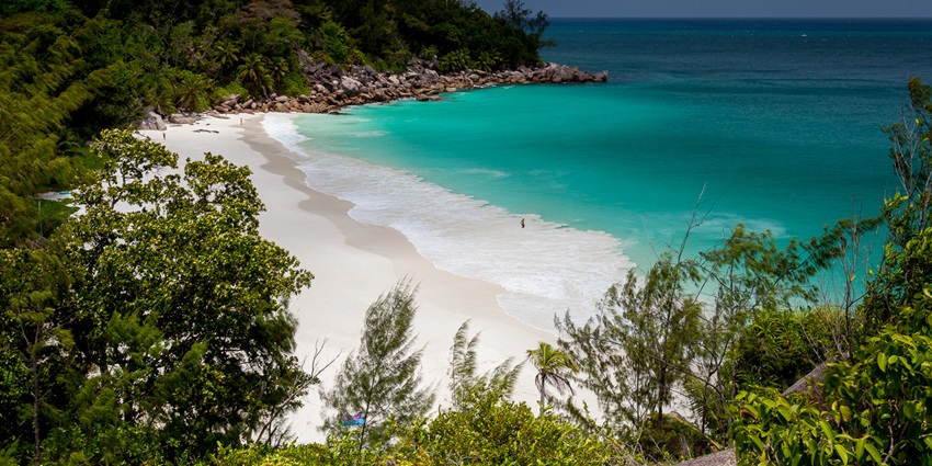 A Praslin Island Guide: Best Things To Do And Travel Tips - TripXL
