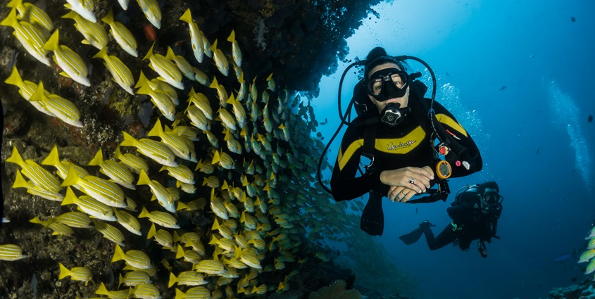 Explore The Best Scuba Diving In Mallorca: Top Dive Sites & Tips - TripXL