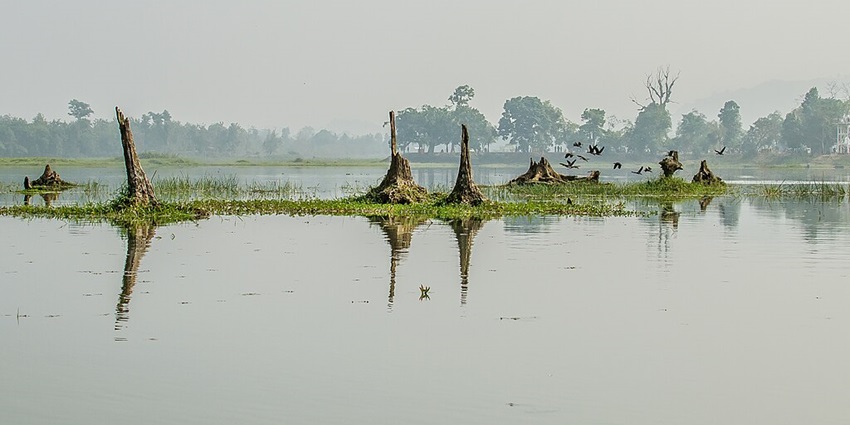 Best Lakes In Assam To Visit For A Soothing Escape - TripXL