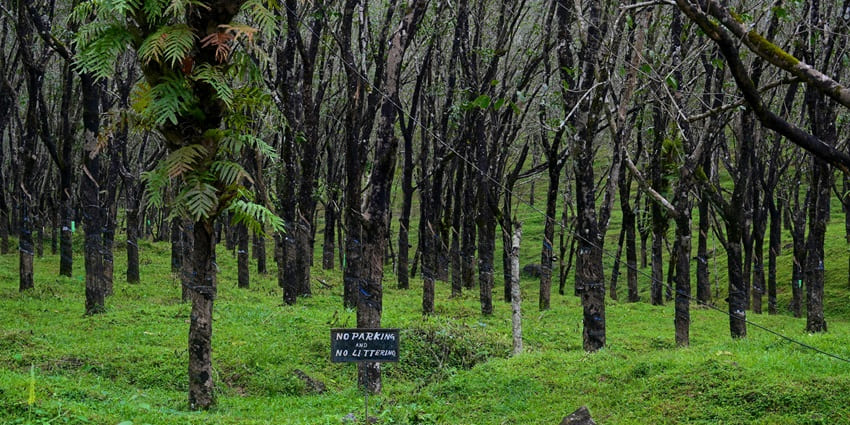 10 Best Places To Visit In June In South India - TripXL