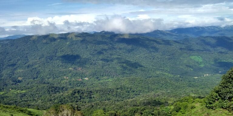 Explore The Best Places To Visit In December In South India - TripXL