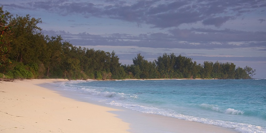 The Seychelles Islands: Top 10 Must See Places To Visit - TripXL