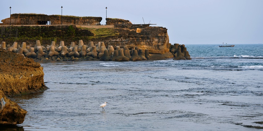 Sea Forts In India: Exploring 10 Coastal Marvels & History - TripXL