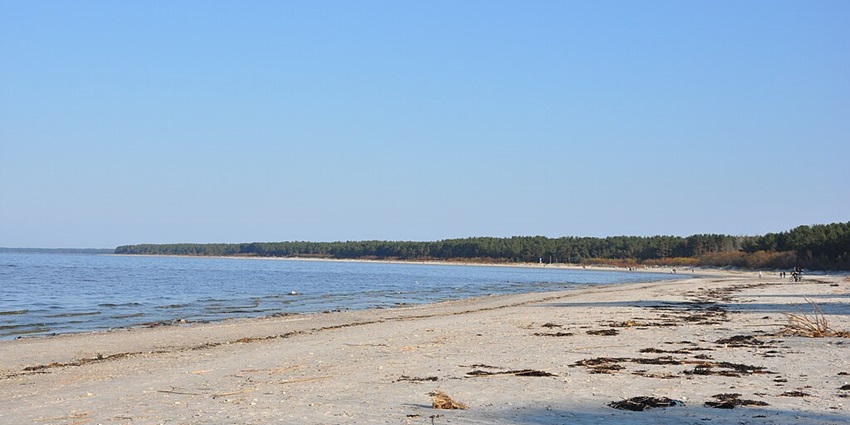 Top 10 Beaches In Latvia: Vacay Amidst Sun, Sand & Serenity - TripXL