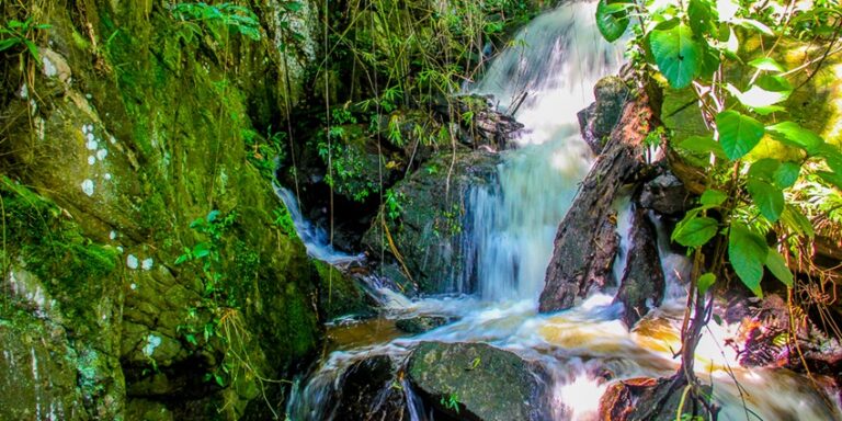 Nigeria Waterfalls: The Ultimate Guide For All Travellers - TripXL
