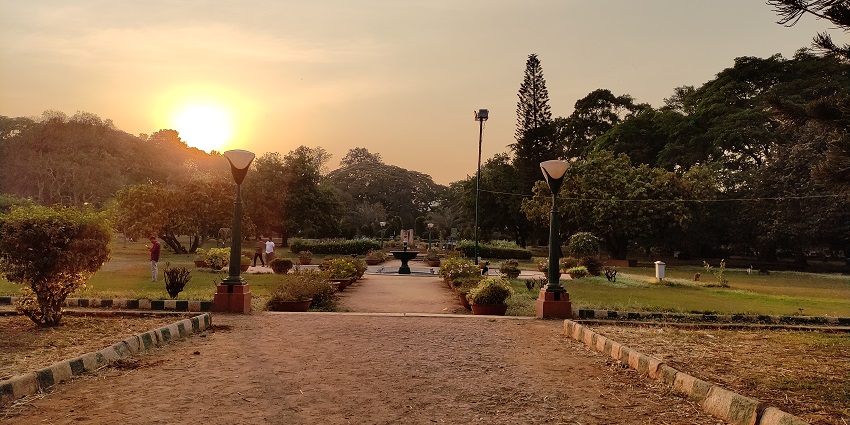 Bangalore Travel Guide: Top Attractions, Food & Travel Tips - TripXL