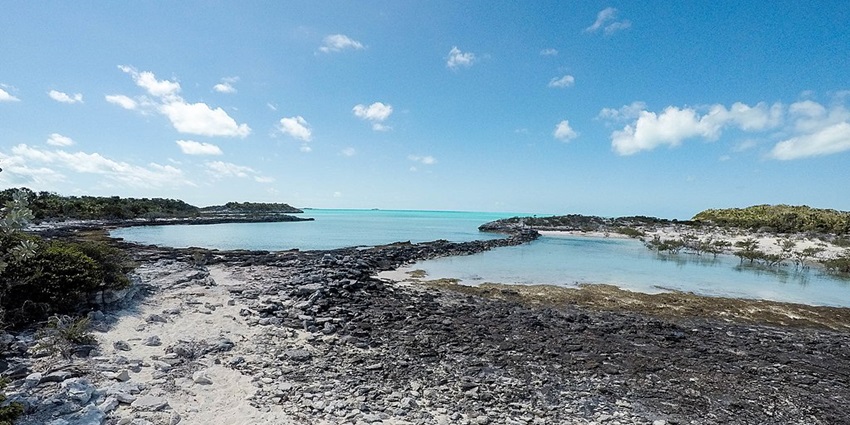 Bahamas Snorkelling: 10 Best Spots To Dive Underwater - TripXL