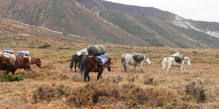 Top 15 Best Trekking Places In India For An Epic Adventure - TripXL