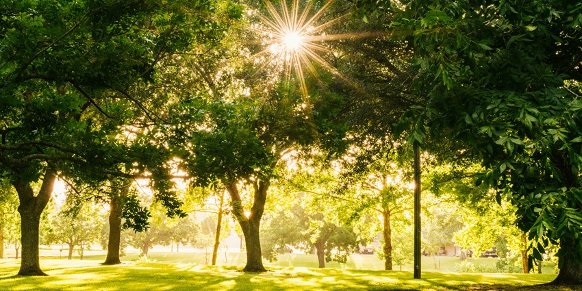 Adyapith Temple: A Sacred Hindu Shrine Near Kolkata - TripXL