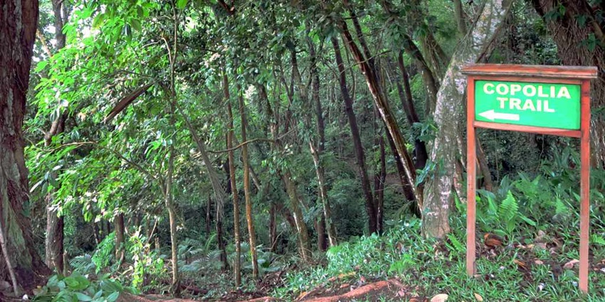 10 Things To Do In Mahe: Beaches, Hikes & Attractions - TripXL