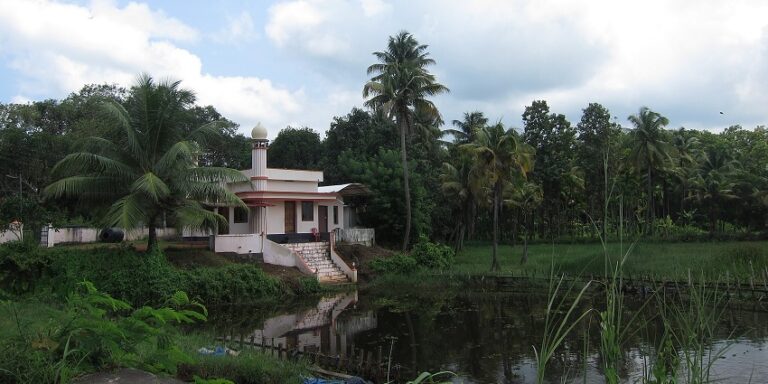 10 Best Mosques In Japan: A Gateway To Islam’s Heritage - TripXL
