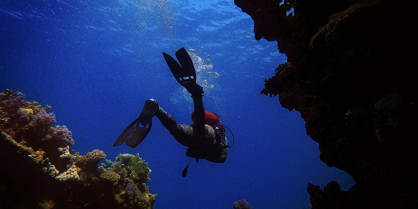 Scuba Diving In Dwarka: Explore The Vibrant Marine Life - TripXL