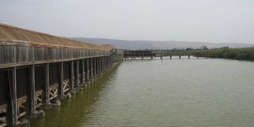 Lakes in Israel: The Ultimate Guide For All The Travellers - TripXL