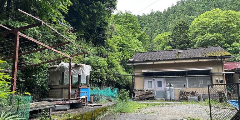10 Haunted Places In Japan: Ghost Stories & Eerie Locations - TripXL