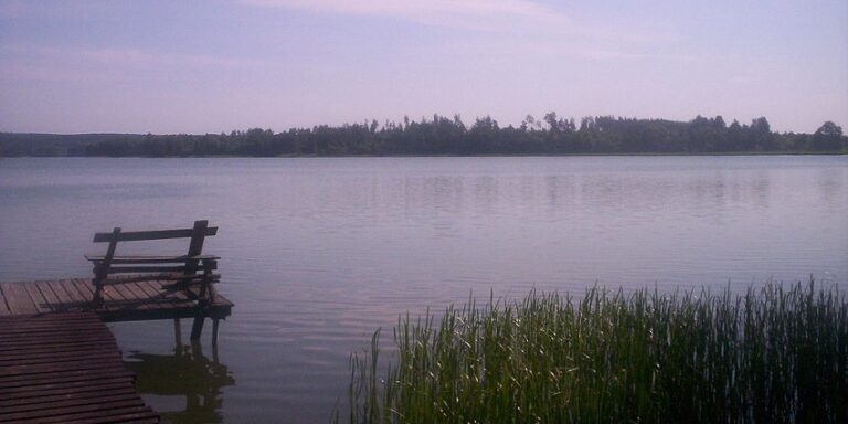 Lakes In Thane: The Ultimate Guide For Nature Enthusiast - TripXL