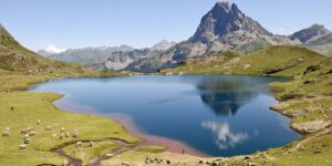 Top 10 Lakes In Punjab: Discover Nature’s Hidden Gems - TripXL