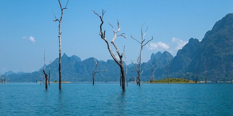 Lakes In Thane: The Ultimate Guide For Nature Enthusiast - TripXL