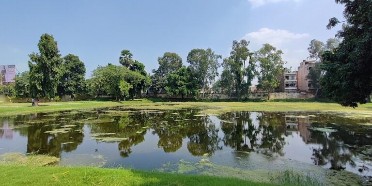 Patna City Guide: The Ultimate Guide For All The Travellers - TripXL