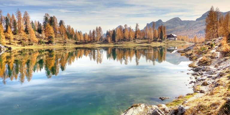Lakes in Bihar: A Guide To The State’s Serene Water Bodies - TripXL