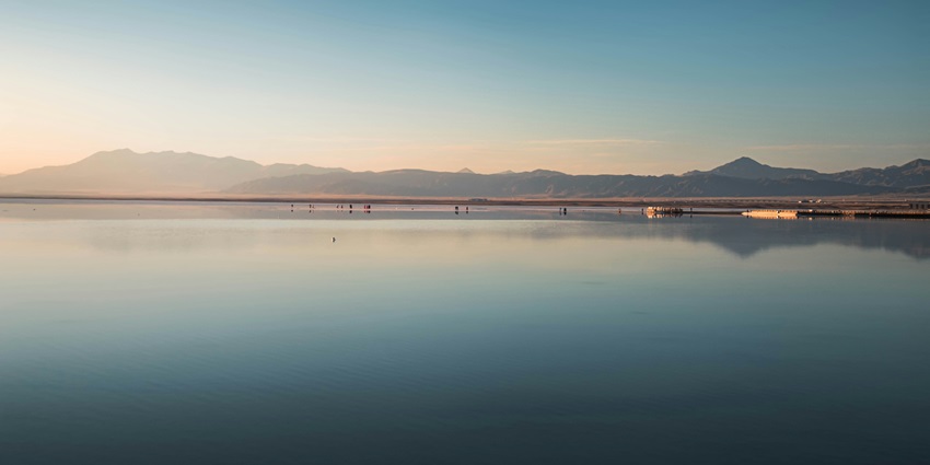 Discover The Largest Lake In Rajasthan: Sambhar Lake - TripXL