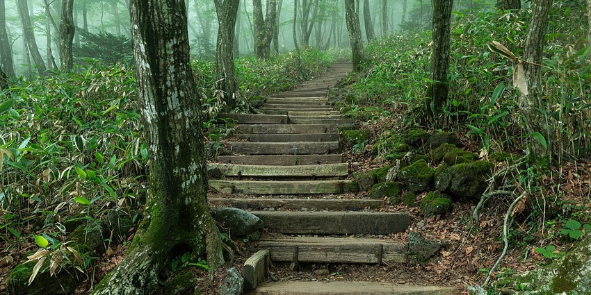 Offbeat Places In India: The Hidden Travel Gems To Visit - TripXL