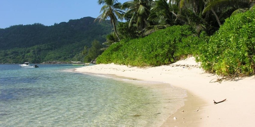Desroches Island Travel Guide: A Perfect Paradise Awaits - TripXL