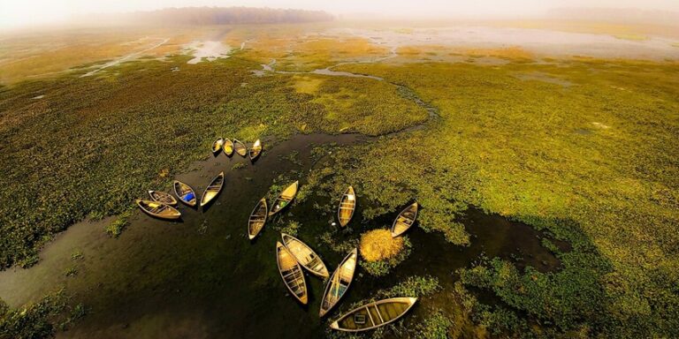 Oxbow Lake In Bihar: Explore Kanwar Lake’s Natural Beauty - TripXL